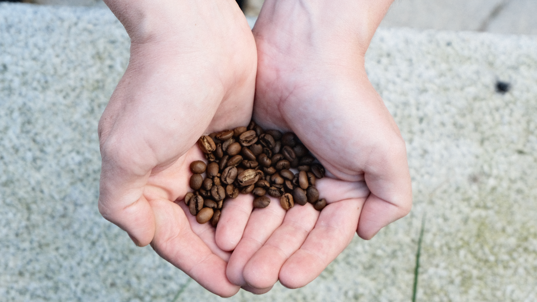 Specialty Single Origin Coffee & Blends – Souter Bros.